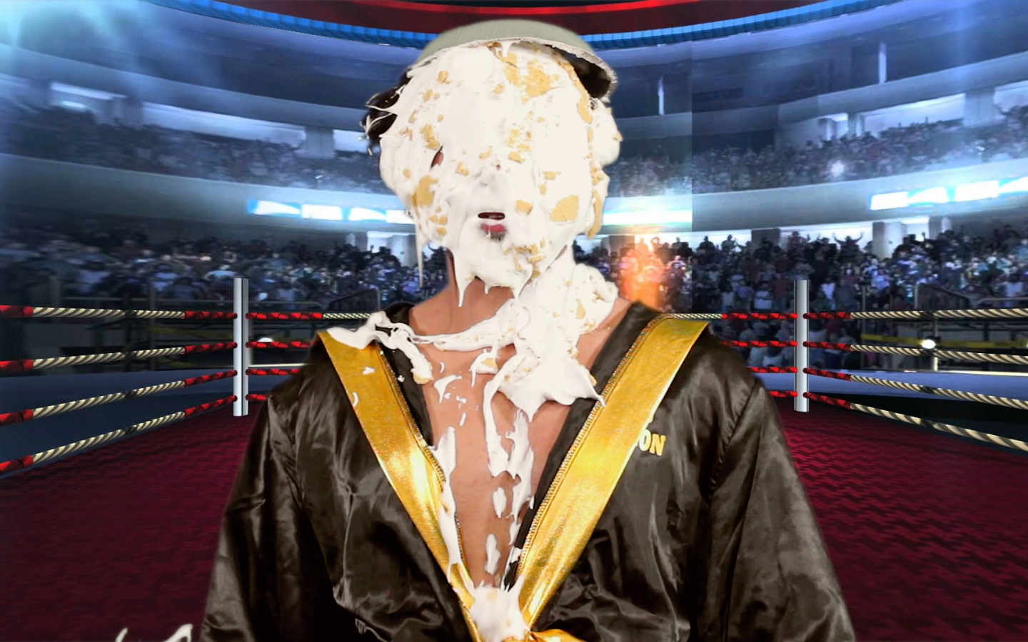 The Pie Fighter "Alex" – The Pie Zone